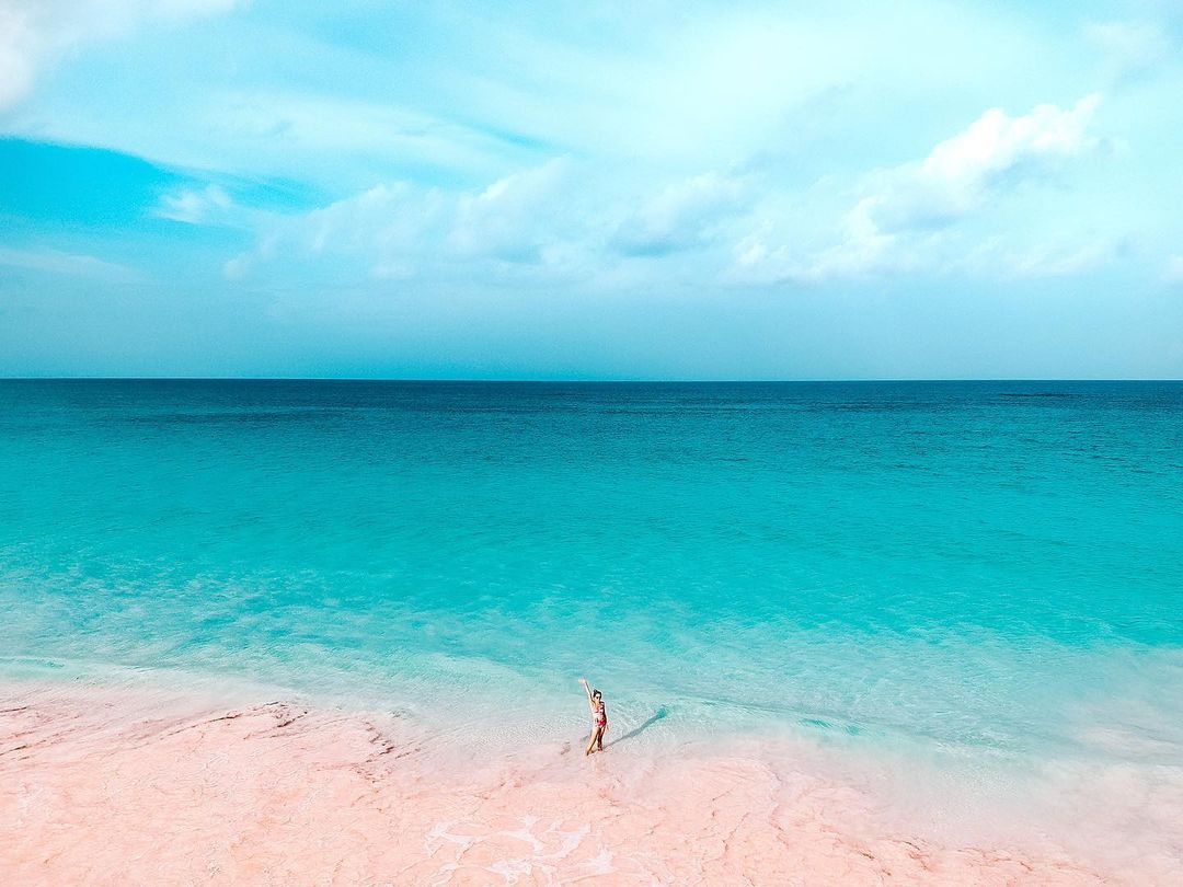 A Paradise Untouched: Exploring the Natural Beauty of the Bahamas - Pelikin